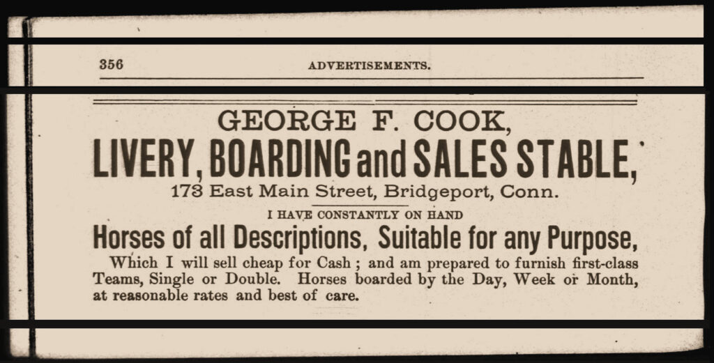 Biography: Susan Louise Cook-Clark/Lupton (1876-1955) | family ...